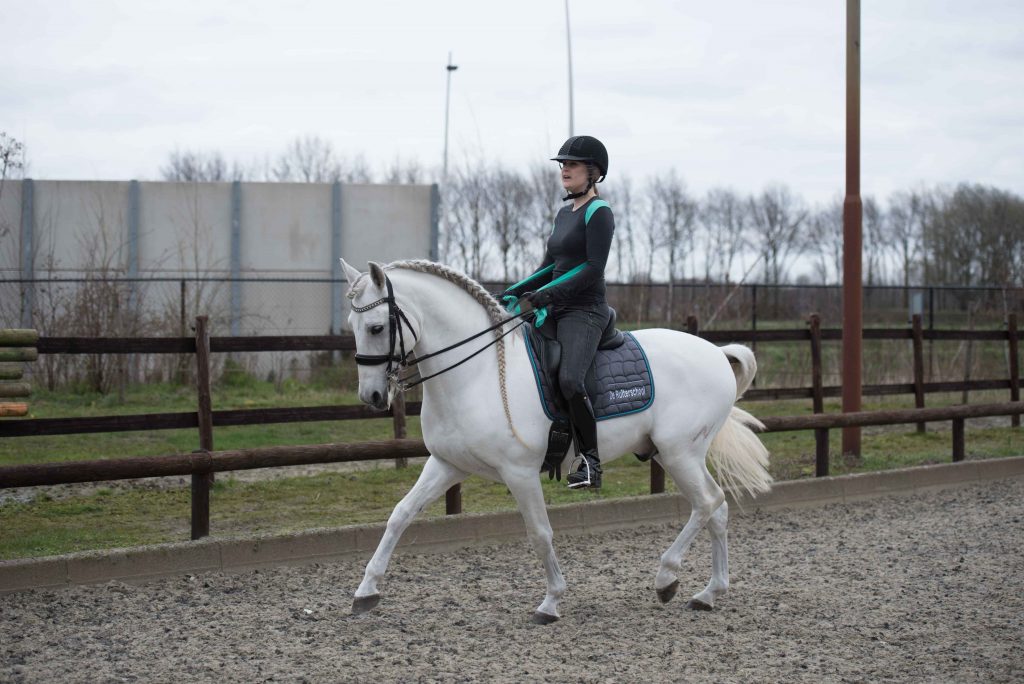 Franklin Method Equestrian - de Ruiterschool