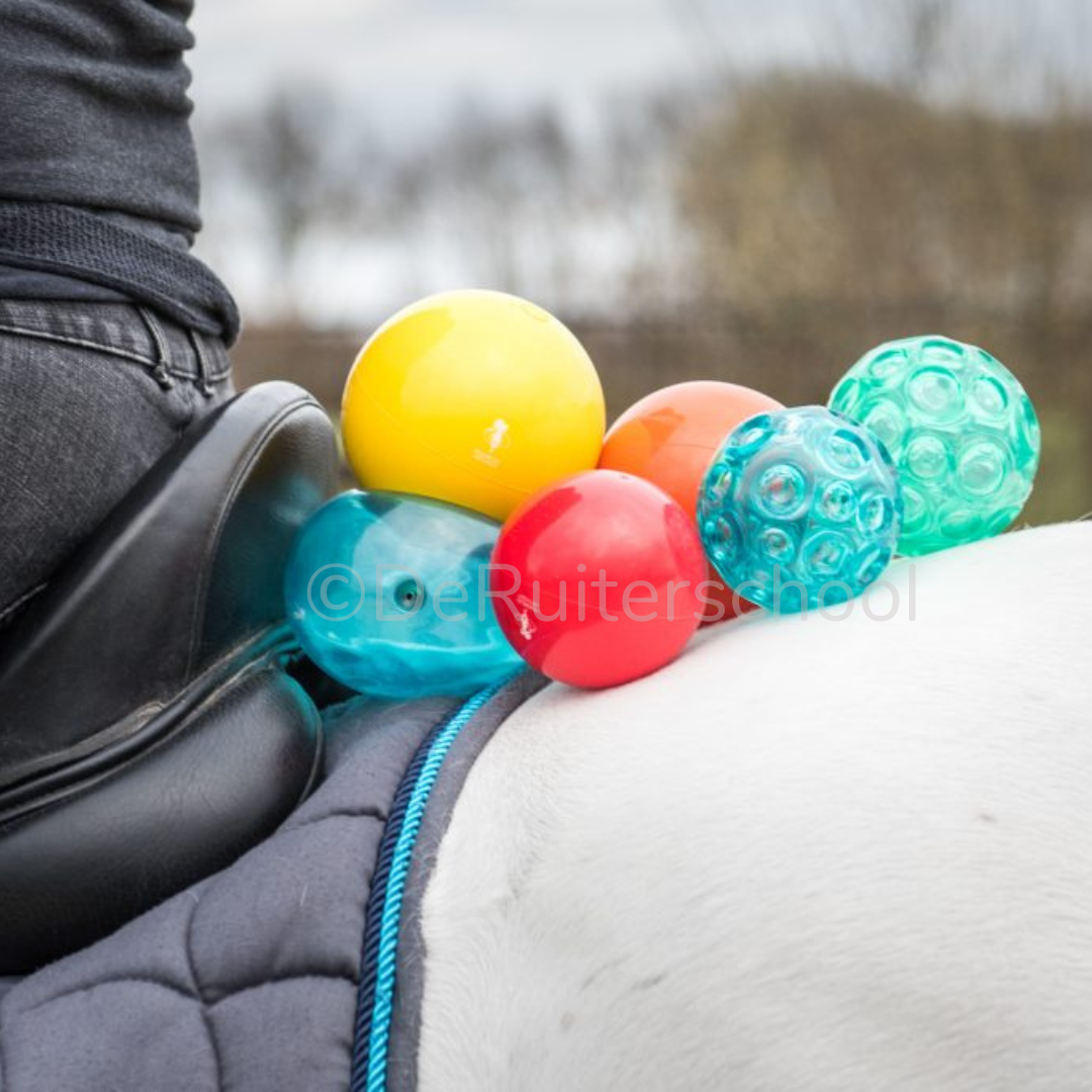 Categorie: Ballen - de Ruiterschool